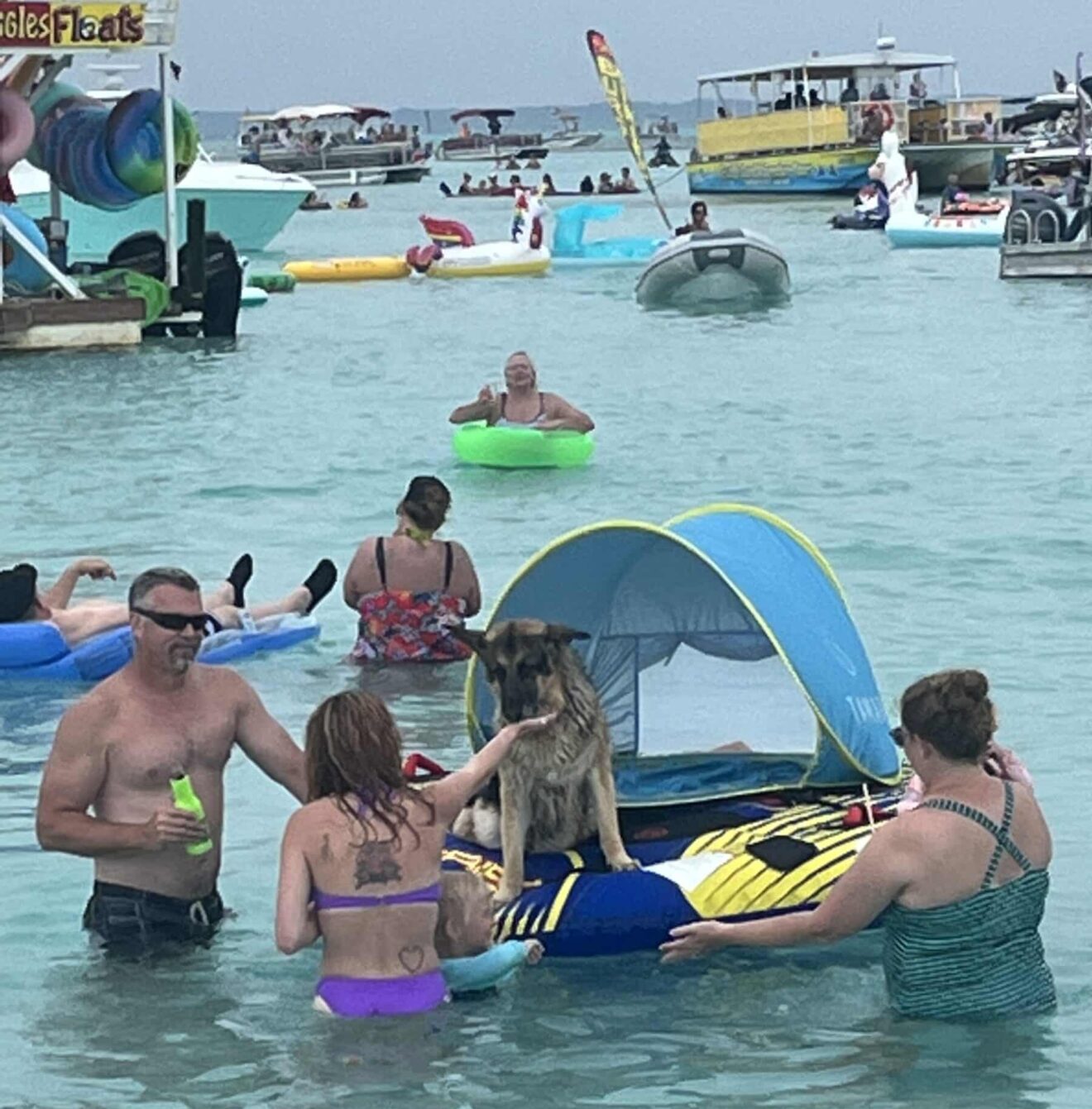 Crab Island Charters in Destin | Sail Away Destin